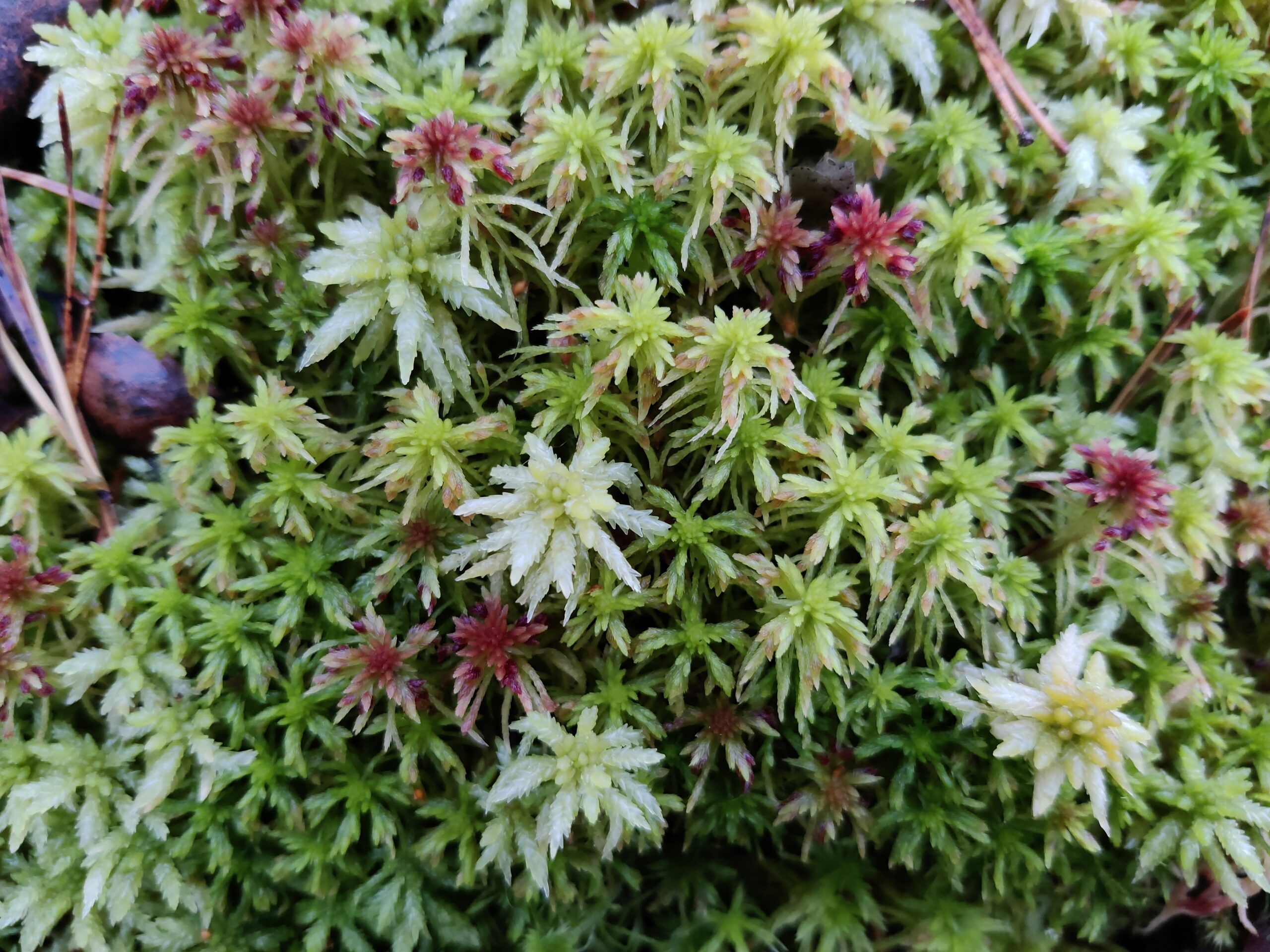 Geologian tutkimuskeskus GTK - Ratkaisuja vauhdittamaan siirtymää ...