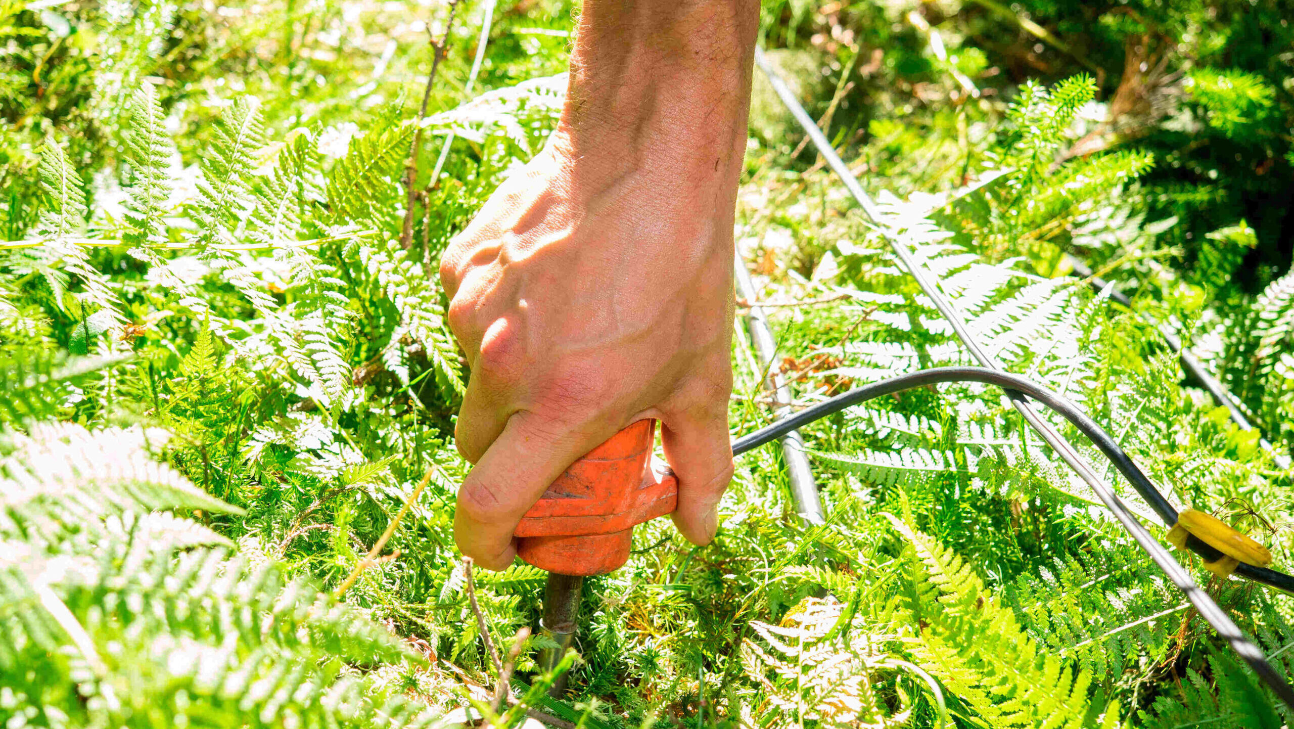 Geophysical Applications | GTK