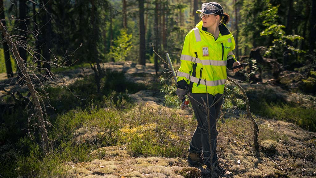 Geologian tutkimuskeskuksen maastotyökooste kesä 2024 | GTK