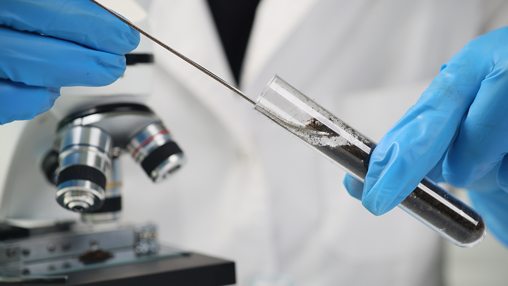 Soil Geochemical Baselines | GTK